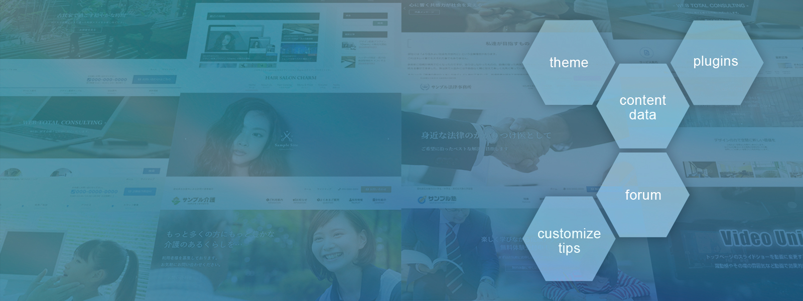 Vektor WordPress Solutions | Vektor WordPress Solution